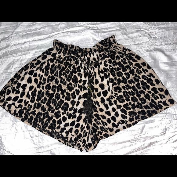Swim | Cheetahshorts | Poshmark